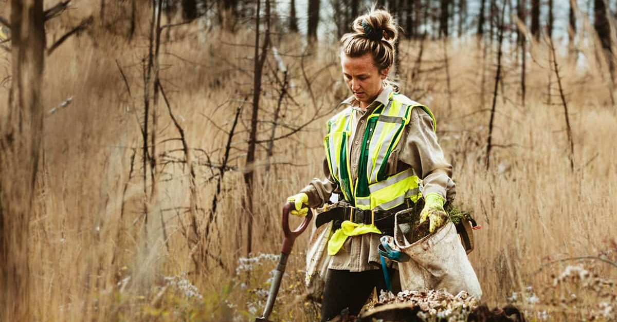 Sustainable Forestry: A Greener Future